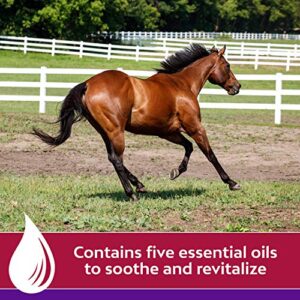 Farnam Vetrolin Horse Liniment Spray for Muscle Soreness, Stiffness and Inflammation Relief, Helps Reduce Swelling, Aids in Pain Relief, Non-Aerosol Spray, Easy Application, 20 Oz.