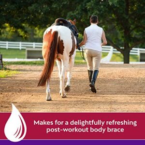 Farnam Vetrolin Horse Liniment Spray for Muscle Soreness, Stiffness and Inflammation Relief, Helps Reduce Swelling, Aids in Pain Relief, Non-Aerosol Spray, Easy Application, 20 Oz.