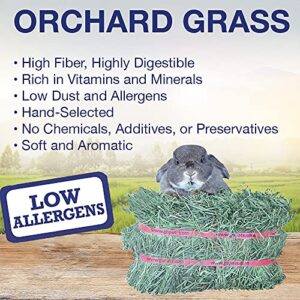 Grandpa's Best Orchard Grass Bale, 5 lbs,green