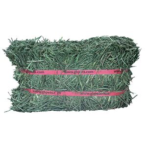 Grandpa's Best Orchard Grass Bale, 5 lbs,green