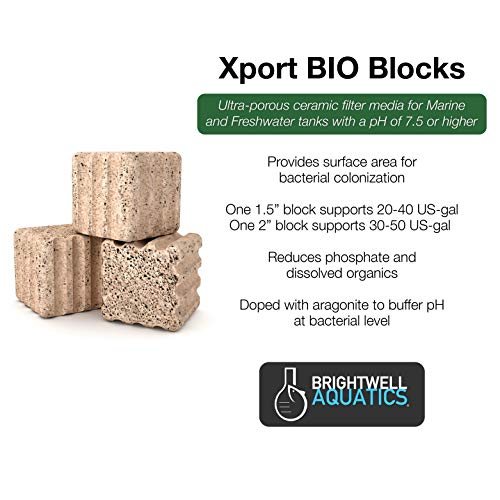 Brightwell Aquatics Xport-BIO Block - Biological Filtration Mediafor Bacteria Growth and Phosphate Reduction (XPBLOCKBIO2.0in-3pk)