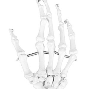 Parco Scientific PB00028, Disarticulated Medical Skeleton Model | Life Size Skeleton | Total 206 Bones | One Hand and Foot are Wired to Highlight Structure | Labeled Diagram and Study Guide Included