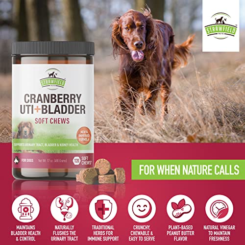 Cranberry Supplement for Dogs -120 Grain Free Dog Treats - Cranberry Chews for Urinary Tract Infection Treatment UTI Relief Bladder Control Support UT Incontinence - D-Mannose, Organic Echinacea, USA