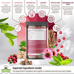 Cranberry Supplement for Dogs -120 Grain Free Dog Treats - Cranberry Chews for Urinary Tract Infection Treatment UTI Relief Bladder Control Support UT Incontinence - D-Mannose, Organic Echinacea, USA