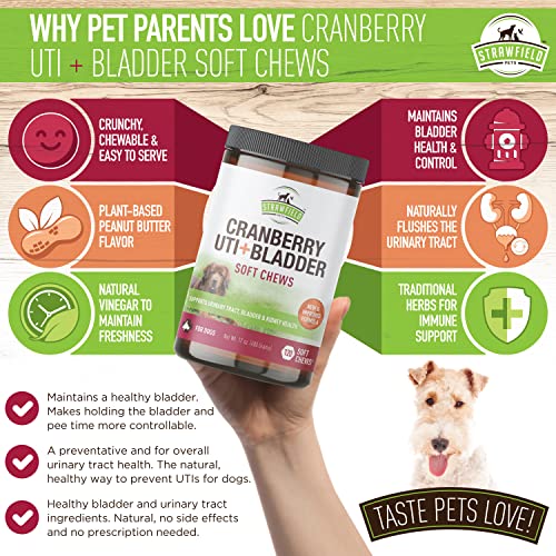 Cranberry Supplement for Dogs -120 Grain Free Dog Treats - Cranberry Chews for Urinary Tract Infection Treatment UTI Relief Bladder Control Support UT Incontinence - D-Mannose, Organic Echinacea, USA