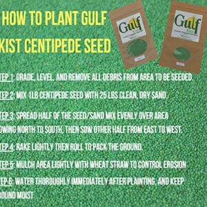 Centipede Grass Seed for a Dense Green Lawn, NO Mulch, 1 lb Coated Seeds, Sun and Moderate Shade Tolerant Lawn Seeding and Turf Patch Repair, Southern Southeast US, Low Fertilizer Low Maintenance