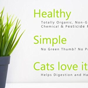 Crafted-Brand Simple Cat Grass Blend | 100% US Organic + 4 Popular Seeds | Wheat, Barley, Oats, and Rye Seed Mix Combo | Show Your Love with a Healthy Pet Treat and Snack (6 Ounce (~4800 Seeds))