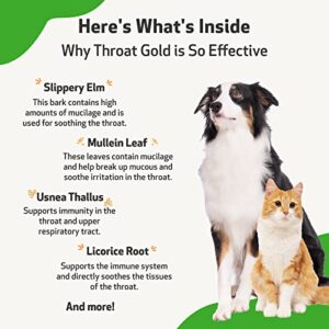 Pet Wellbeing Throat Gold for Dogs & Cats - Vet-Formulated - Soothes Throat Discomfort, Hoarseness, Leash Strain, Occasional Cough - Natural Herbal Supplement 4 oz (118 ml)