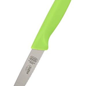 The Kosher Cook Parve Green Kitchen Knife - 4” Steak and Vegetable Knife - Razor Sharp Pointed Tip, Serrated Edge - Color Coded Kitchen Tools