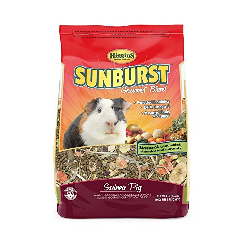 Higgins Sunburst Gourmet Food Mix for Guinea Pigs, 6 Pound