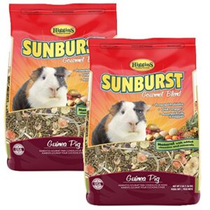 higgins sunburst gourmet food mix for guinea pigs, 6 pound