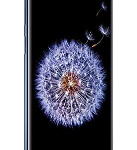 Samsung Galaxy S9 Plus (SM-G965F/DS) 6GB / 128GB 6.2-inches LTE Dual SIM Factory Unlocked - International Stock No Warranty (Coral Blue)