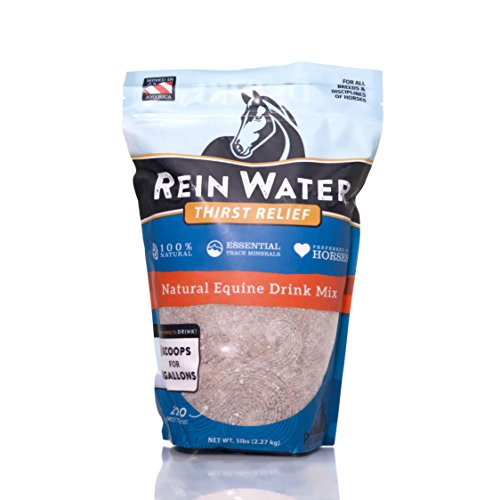 Redmond Rein Water Thirst Quencher for Dehydrated Horses, Electrolyte Mineral Drink Mix, 5 lb Bag