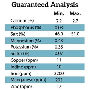 Redmond Rein Water Thirst Quencher for Dehydrated Horses, Electrolyte Mineral Drink Mix, 5 lb Bag