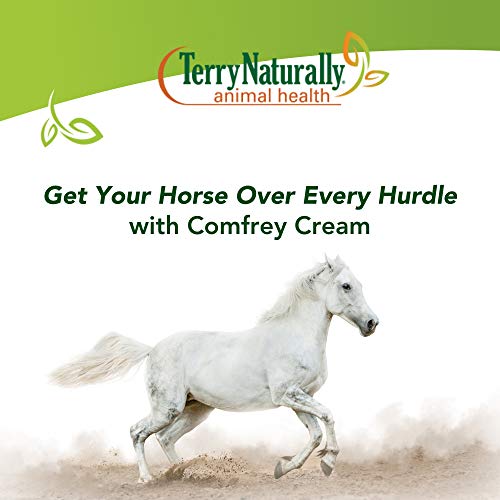 Terry Naturally Animal Health Comfrey Cream - 3.53 oz (100 g) - Topical Botanical for Horses and Dogs - Support for Joints, Muscles & Skin - External Application