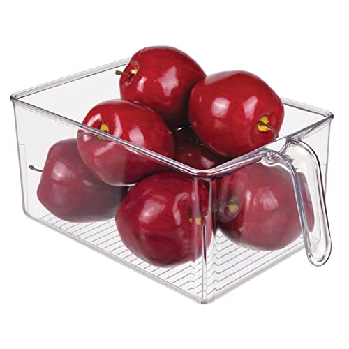 mDesign Plastic Kitchen Pantry Cabinet Refrigerator Food Storage Organizer Bin Holder with Handle - for Organizing Individual Packets, Snacks Food, Produce, Pasta - 2 Pack, Large, Clear