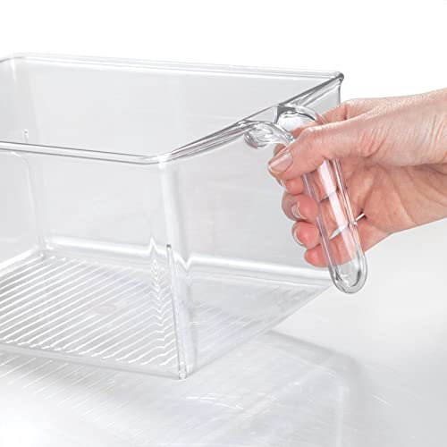 mDesign Plastic Kitchen Pantry Cabinet Refrigerator Food Storage Organizer Bin Holder with Handle - for Organizing Individual Packets, Snacks Food, Produce, Pasta - 2 Pack, Large, Clear