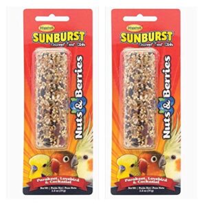 higgins 2 pack nuts & berries sunburst gourmet bird treat sticks for parakeets, lovebirds & cockatiels