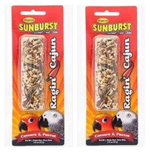 higgins 2 pack ragin' cajun sunburst gourmet bird treat sticks for conures & parrots