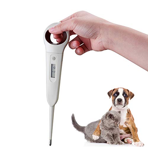 aurynns Pet Dog Thermometer Horse Anus Thermometer Fast Digital Veterinary Thermometer for Dogs, Cats,Pig,Sheep(℉