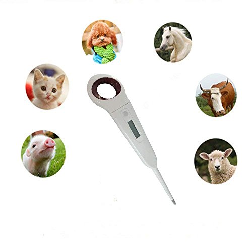 aurynns Pet Dog Thermometer Horse Anus Thermometer Fast Digital Veterinary Thermometer for Dogs, Cats,Pig,Sheep(℉