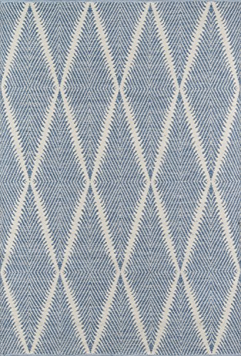 Erin Gates by Momeni River Beacon Denim Hand Woven Indoor Outdoor Area Rug, 7'6" X 9'6" size Mat for Living Room, Bedroom, Dining Room, Nursery, Hallways, and Home Office