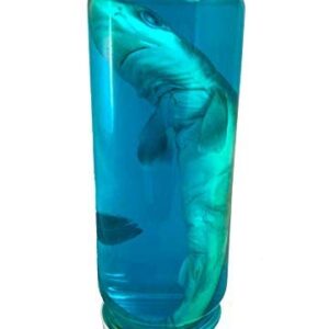 Real Shark in a Bottle Jar, Marine Specimen Taxidermy, Fishing, Jaws