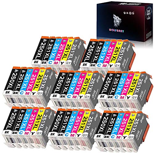 Wolfgray Compatible Ink Cartridge Replacement for Canon PGI-250 CLI-251 PGI-250XL CLI-251XL PIXMA iP8720 PIXMA MG6320 PIXMA MG6620 PIXMA MG7120 PIXMA MG7520 Inkjet Printer (8Large BK+8BK+8C+8M+8Y+8GY)