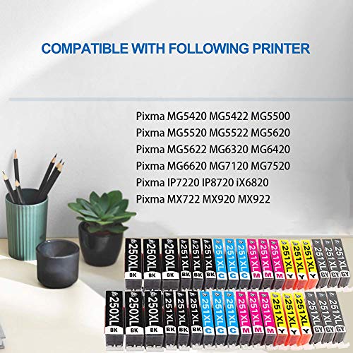 Wolfgray Compatible Ink Cartridge Replacement for Canon PGI-250 CLI-251 PGI-250XL CLI-251XL PIXMA iP8720 PIXMA MG6320 PIXMA MG6620 PIXMA MG7120 PIXMA MG7520 Inkjet Printer (8Large BK+8BK+8C+8M+8Y+8GY)