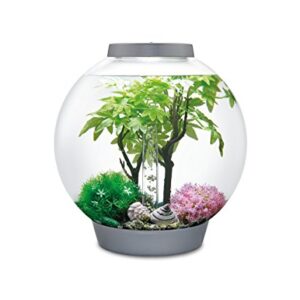 biOrb Decor Set 30L Summer Medium