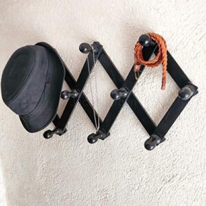 Jacq & Jürgen Expandable 10 Peg Wall Mount Storage Rack 100% Wooden & Black Color