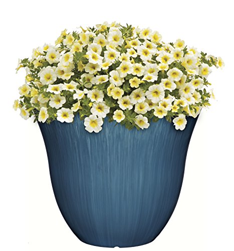 Classic Home and Garden Honeysuckle Resin Flower Pot Planter, Ocean Blue, 15"