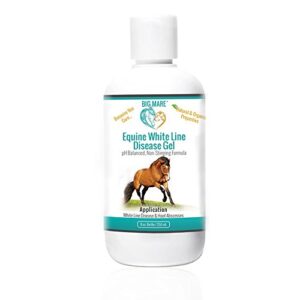 big mare equine white line gel for horse hoofs | treats white line hoof disease