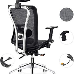 Cedric Office Chair,Breathable Mesh Computer Chair with Ergonomic Adjustable Lumbar Support, Black Swivel Desk Chair with Adjustable Armrest and Headrest, Mesh Seat,BIFMA Certification No 5.1