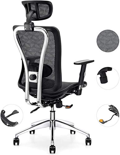 Cedric Office Chair,Breathable Mesh Computer Chair with Ergonomic Adjustable Lumbar Support, Black Swivel Desk Chair with Adjustable Armrest and Headrest, Mesh Seat,BIFMA Certification No 5.1