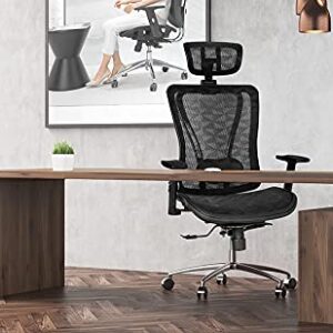 Cedric Office Chair,Breathable Mesh Computer Chair with Ergonomic Adjustable Lumbar Support, Black Swivel Desk Chair with Adjustable Armrest and Headrest, Mesh Seat,BIFMA Certification No 5.1