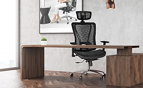 Cedric Office Chair,Breathable Mesh Computer Chair with Ergonomic Adjustable Lumbar Support, Black Swivel Desk Chair with Adjustable Armrest and Headrest, Mesh Seat,BIFMA Certification No 5.1