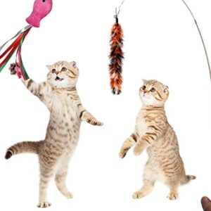 Cat Toys Set, Cat Retractable Teaser Wand, Catnip Fish, Interactive Cat Feather Toy, Mylar Crincle Balls, Two Cotton Mice, Four Fluffy Mouse