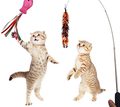 Cat Toys Set, Cat Retractable Teaser Wand, Catnip Fish, Interactive Cat Feather Toy, Mylar Crincle Balls, Two Cotton Mice, Four Fluffy Mouse