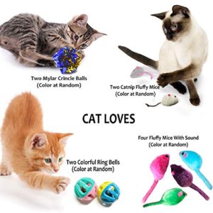 Cat Toys Set, Cat Retractable Teaser Wand, Catnip Fish, Interactive Cat Feather Toy, Mylar Crincle Balls, Two Cotton Mice, Four Fluffy Mouse