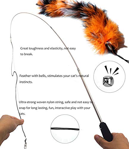 Cat Toys Set, Cat Retractable Teaser Wand, Catnip Fish, Interactive Cat Feather Toy, Mylar Crincle Balls, Two Cotton Mice, Four Fluffy Mouse