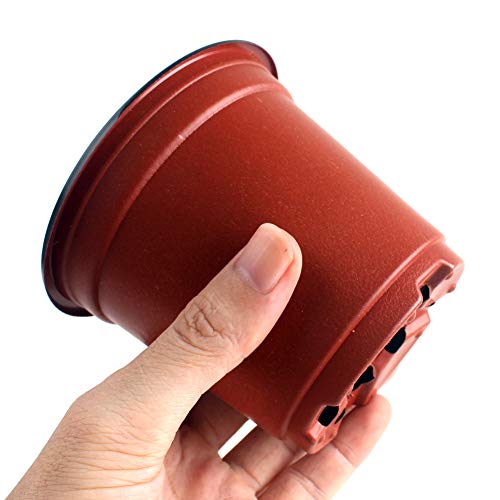 HAZOULEN 4" Plastic Plants Pots for Starting Seeds Seedlings, 50 Pack