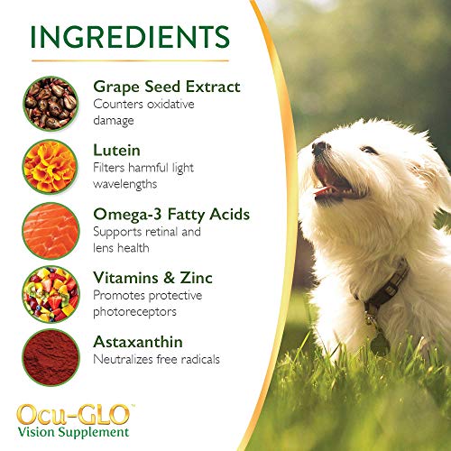 Ocu-GLO PB Vision Supplement for Small Dogs & Cats – Easy to Administer Powder Blend with Lutein, Omega-3 Fatty Acids, Grape Seed Extract and Antioxidants to Promote Eye Health, 30ct Sprinkle Capsules