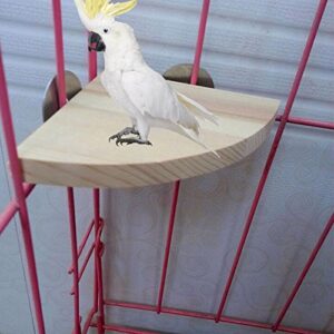 Fdit Bird Wooden Stand Platform Fan Shaped Design for Parrot Cockatiel Parakeet