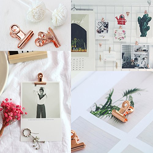 Small Rose Gold Bulldog Clips - Coideal 30 Pcs Mini Metal Binder Paper Hinge Clip Office Clamps for Picture Photos (22mm)