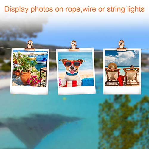 Small Rose Gold Bulldog Clips - Coideal 30 Pcs Mini Metal Binder Paper Hinge Clip Office Clamps for Picture Photos (22mm)