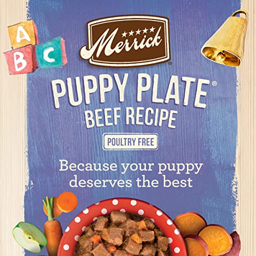 Merrick Grain Free Wet Puppy Food Puppy Plate Beef Recipe - 12.7 Ounce (Pack of 12)