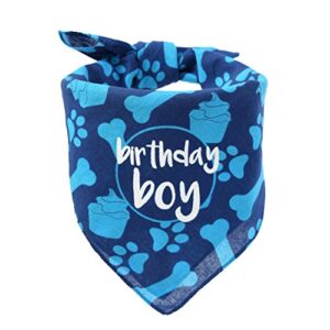 Dog Birthday Bandana - Boy