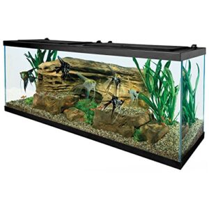 tetra 55 gallon aquarium kit with fish tank, fish net, fish food, filter, heater and water conditioners