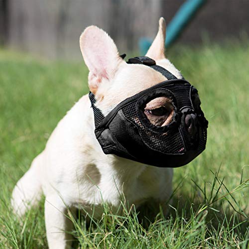 JYHY Short Snout Dog Muzzles- Adjustable Breathable Mesh Bulldog Muzzle for Biting Chewing Barking Training Dog Mask,Black(Eyehole) M